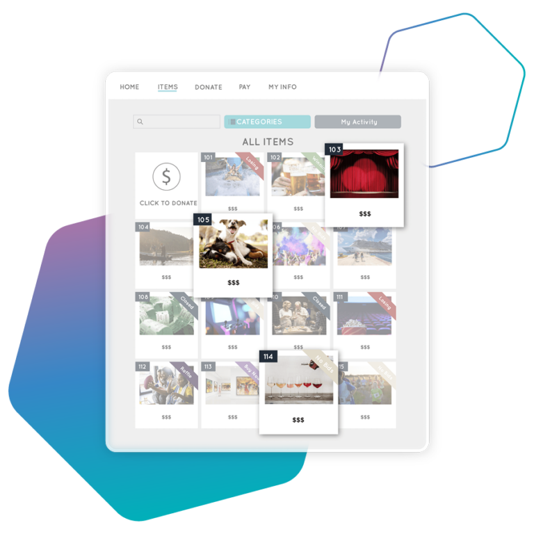 Fundraising & Donor Management Platform Features | GiveSmart
